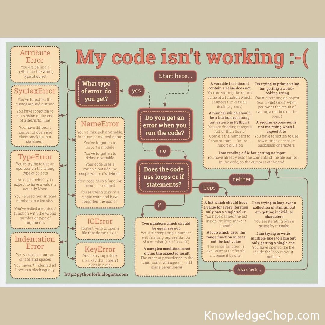 Software Debugging Guidens 🥷 Knowledge Ninja 
