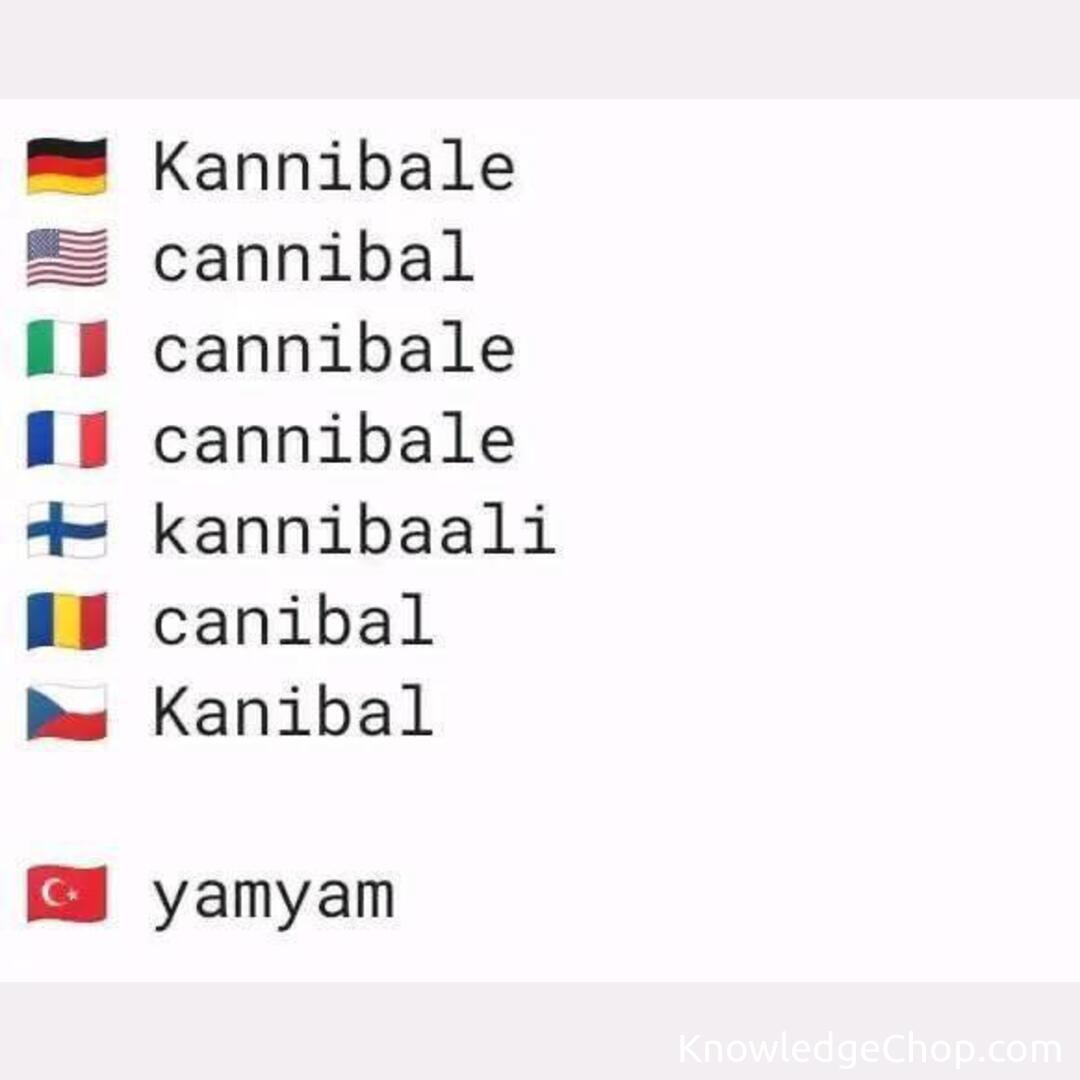 Guide to the word "Cannibal" | 🥷 Knowledge Ninja