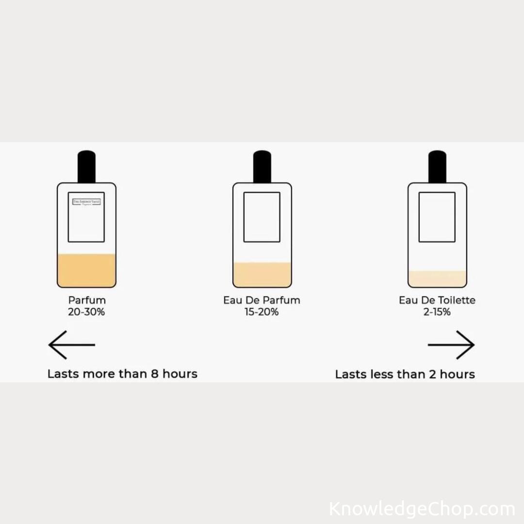 Perfume guide | 🥷 Knowledge Ninja