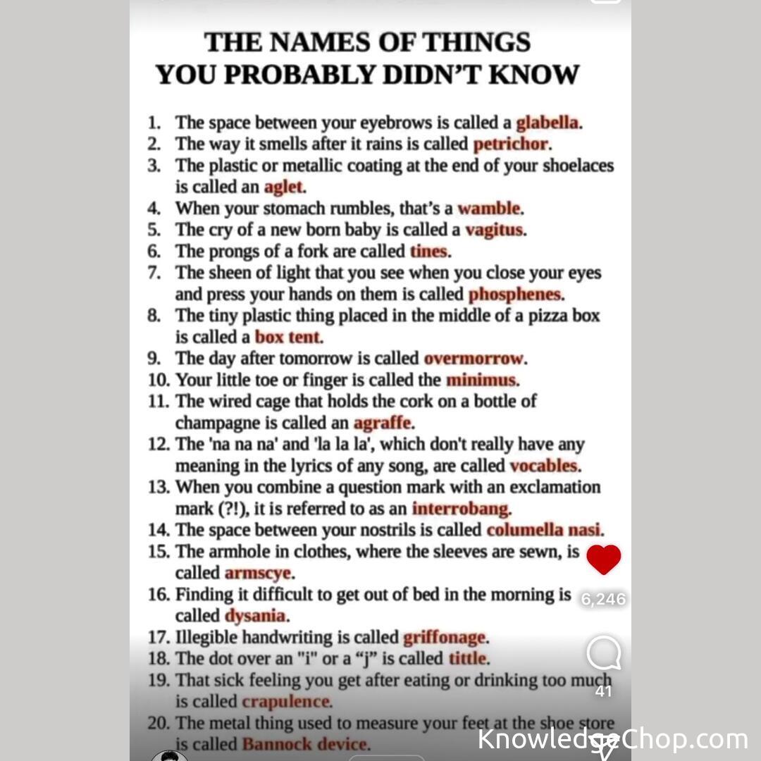 Names of things you probably didn’t know | 🥷 Knowledge Ninja Names of things you probably didn’t know | 🥷 Knowledge Ninja