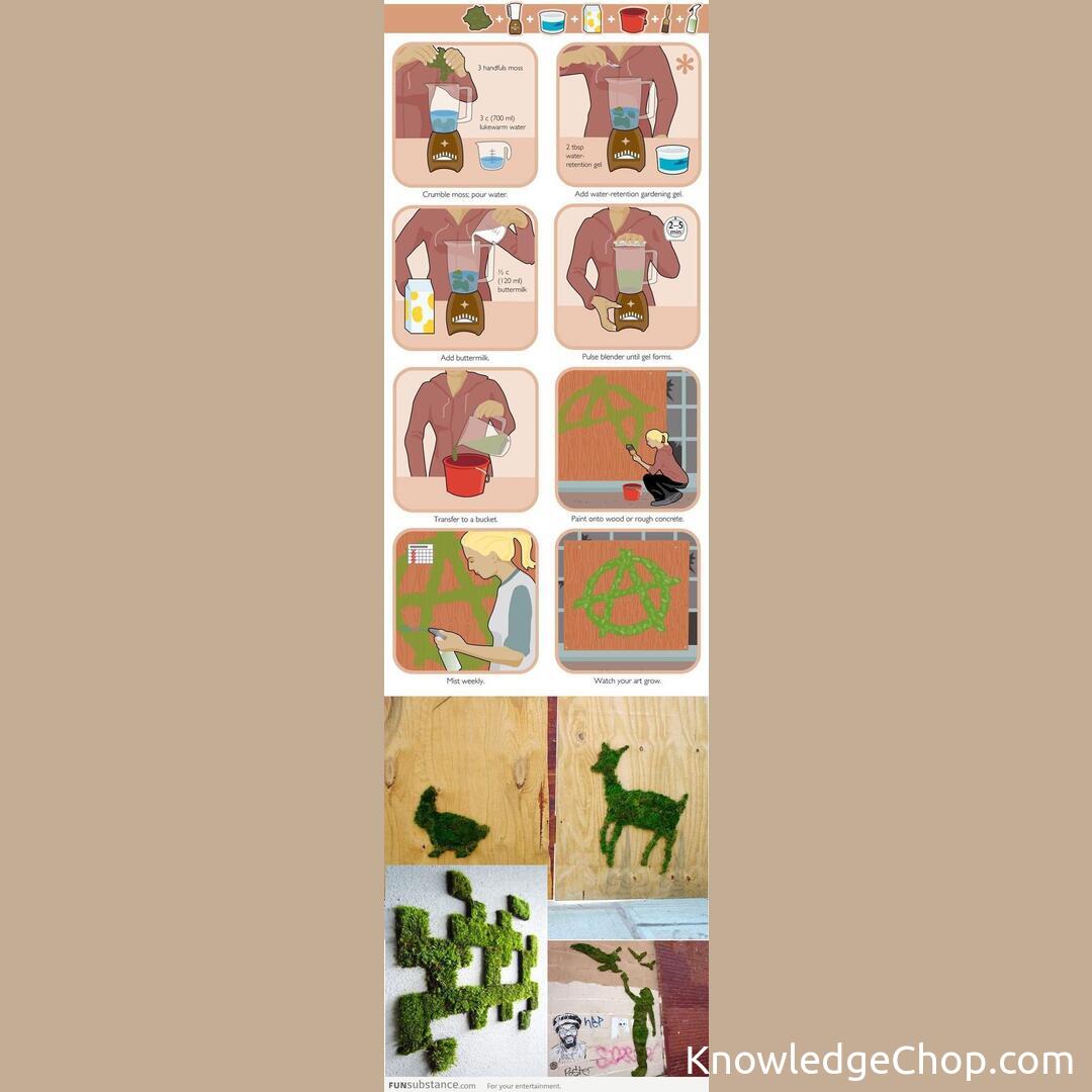 Guide to moss art - FunSubstance | 🥷 Knowledge Ninja