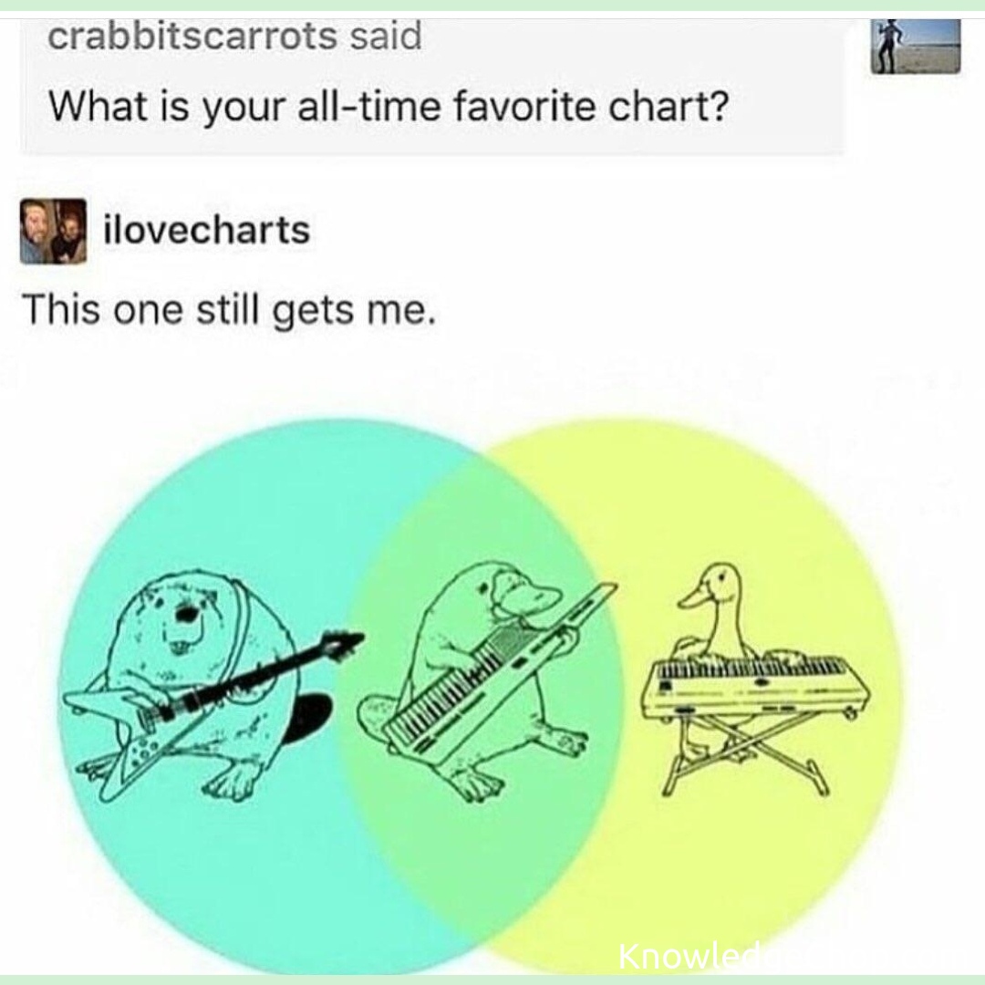 Feudalism | 🥷 Knowledge Ninja