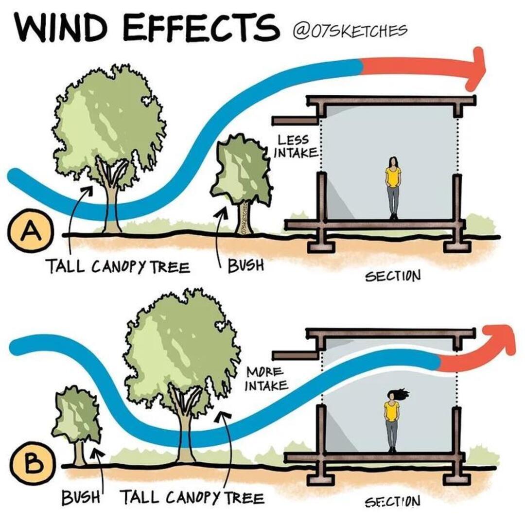 wind effects | 🥷 Knowledge Ninja