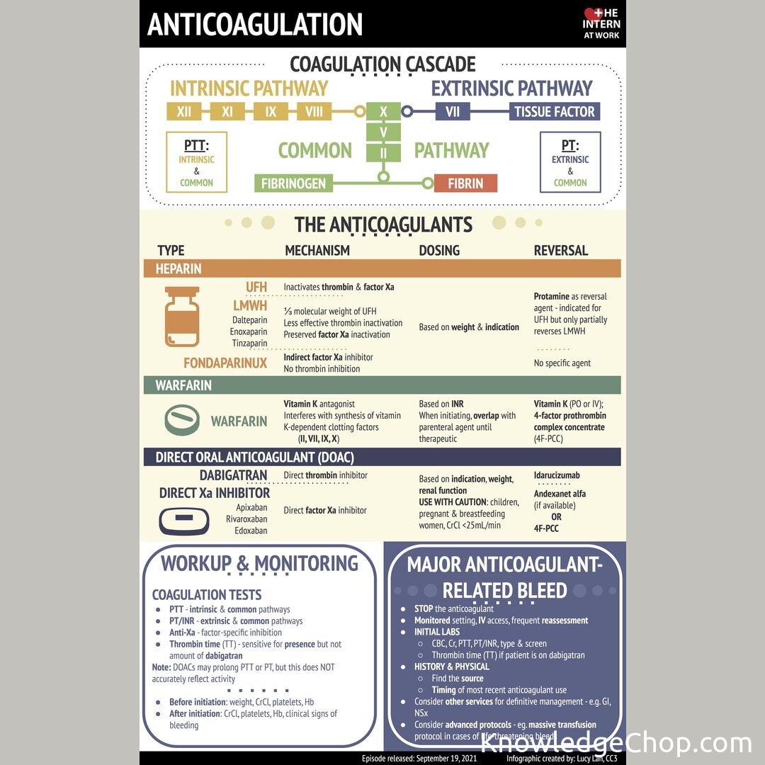 Anticoagulation Knowledge Ninja