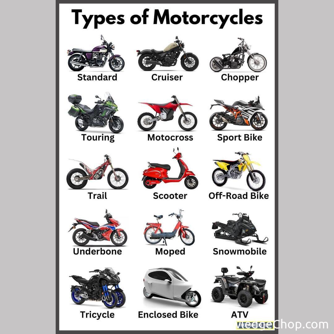 Types of Motorcycles | 🥷 Knowledge Ninja