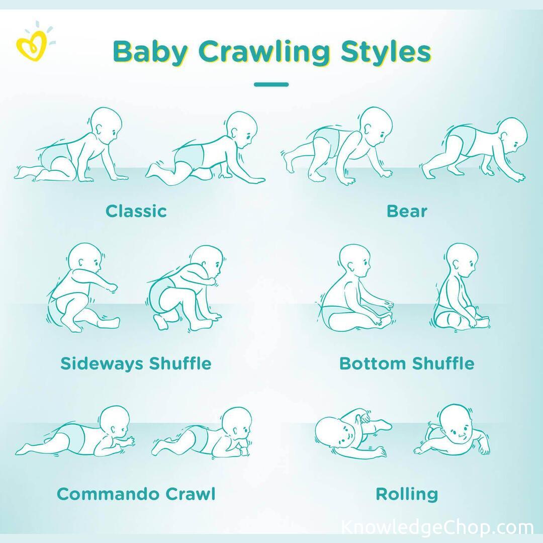 Crawling Styles Of Babies | 🥷 Knowledge Ninja