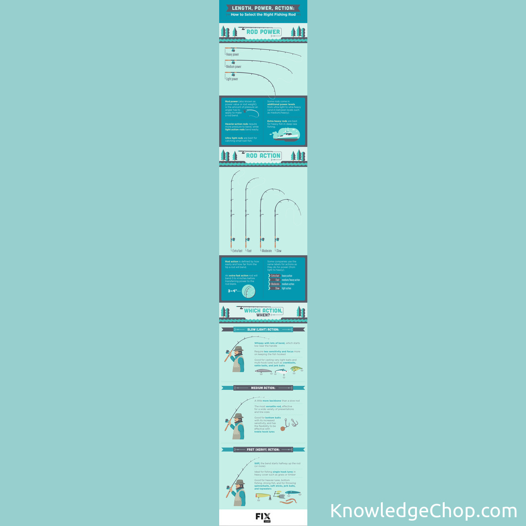 Guide: How to Select the Right Fishing Rod | 🥷 Knowledge Ninja
