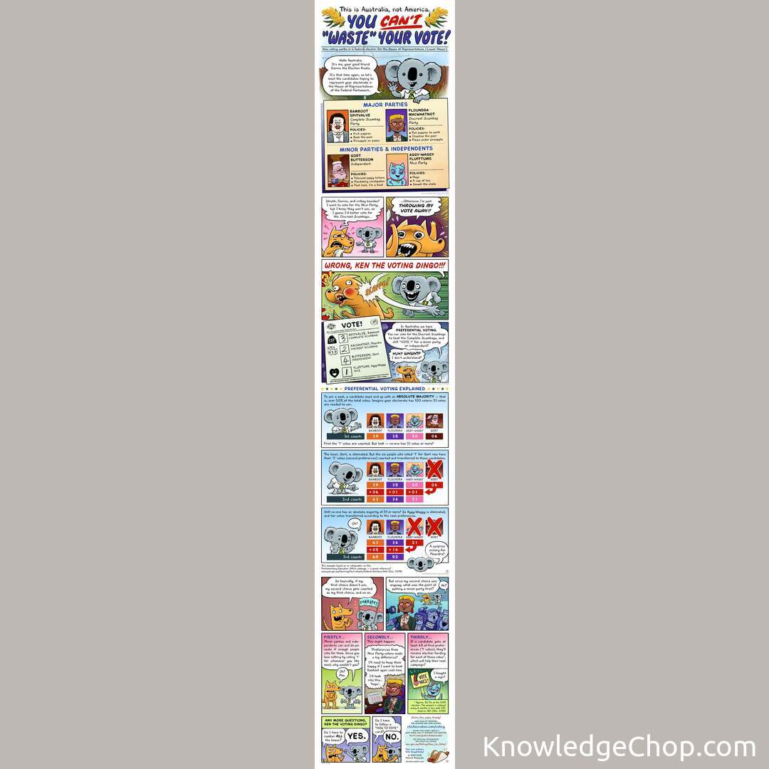 How preferential voting works | 🥷 Knowledge Ninja