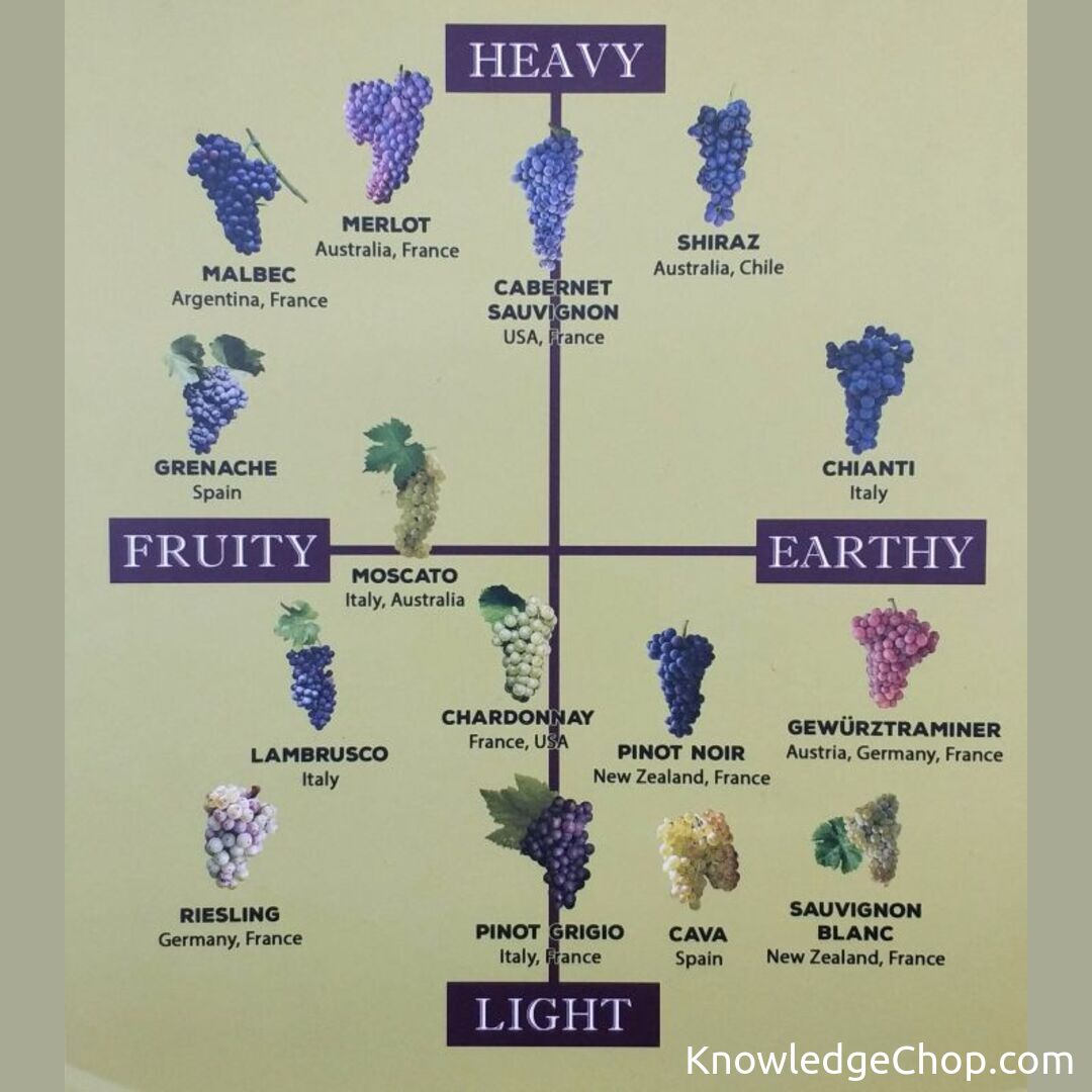 Wine Matrix | 🥷 Knowledge Ninja