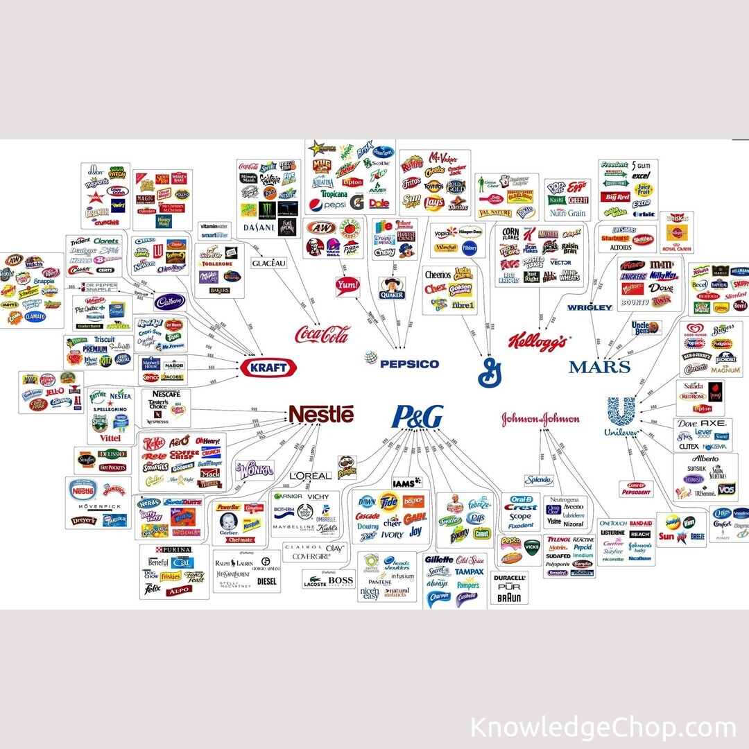 Chart of who owns what | 🥷 Knowledge Ninja