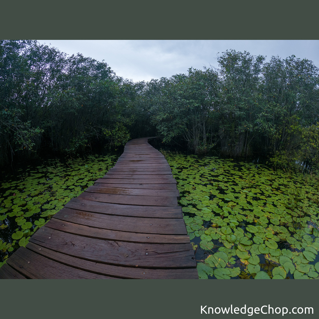 Beddagana Wetland Park Sri Lanka 🥷 Knowledge Ninja