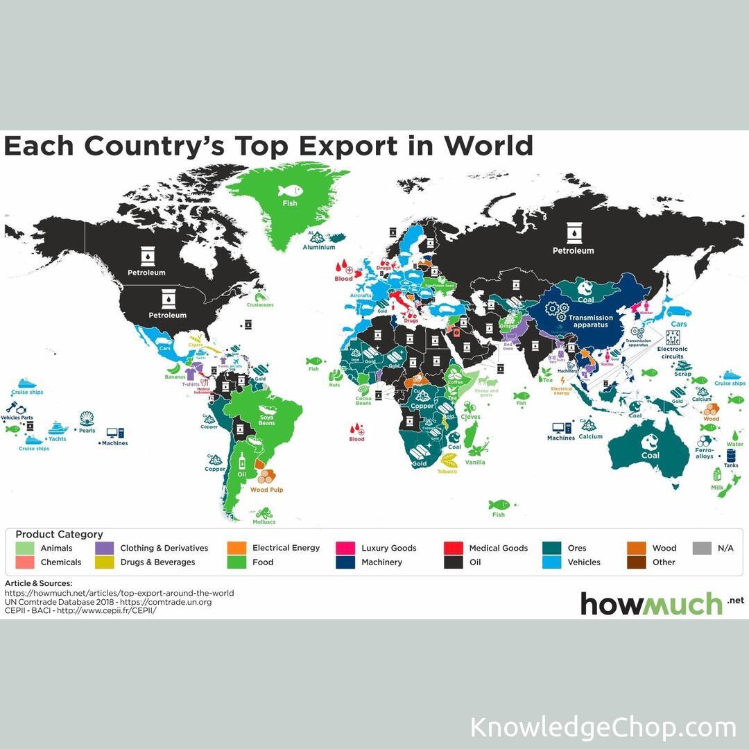 Most exported product from each country | 🥷 Knowledge Ninja