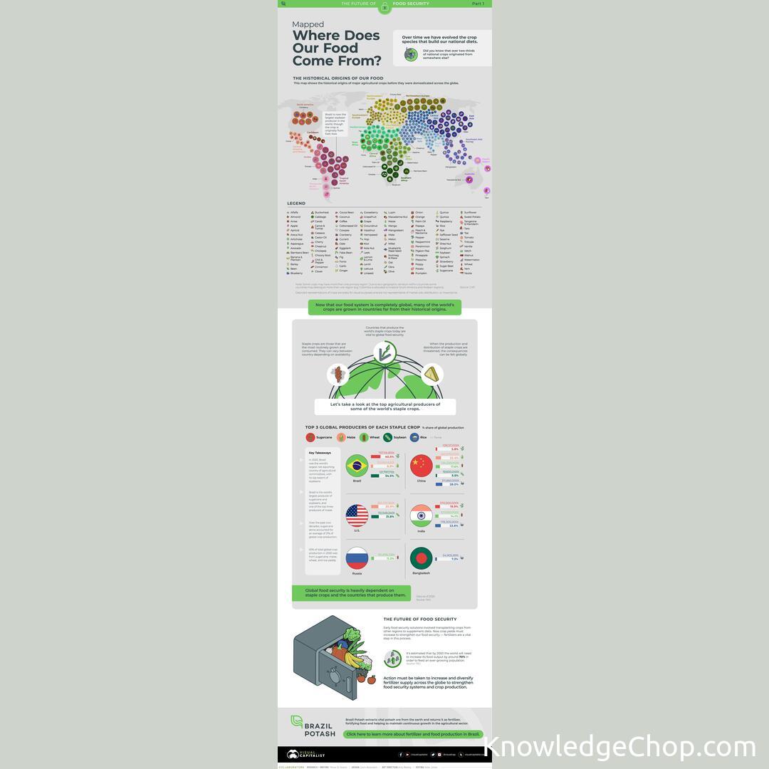 Where Does Our Food Come From? | 🥷 Knowledge Ninja