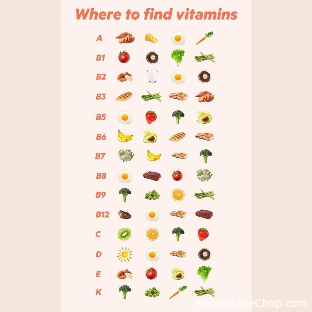 Vitamin Guide | 🥷 Knowledge Ninja