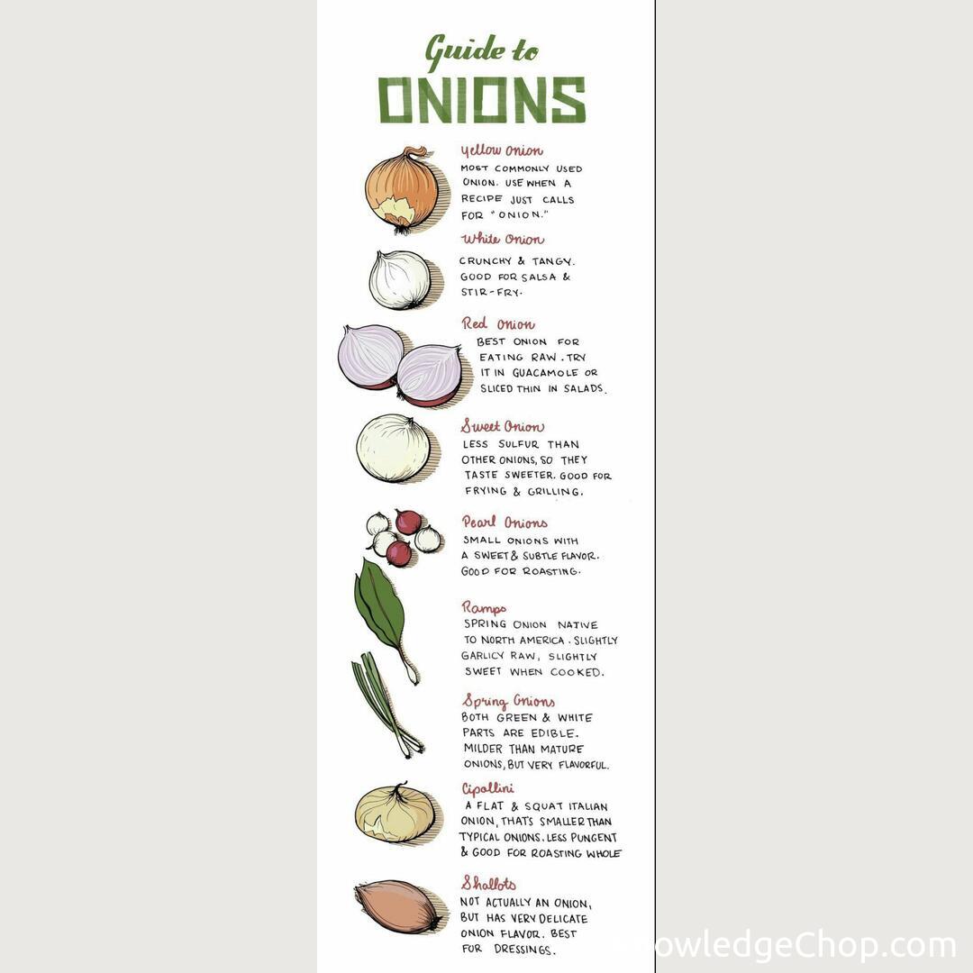 Guide to Onions | 🥷 Knowledge Ninja