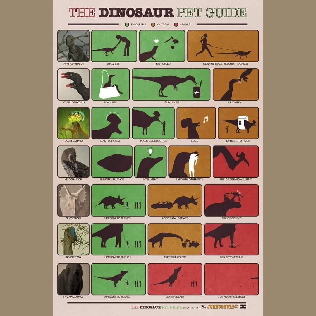 Know your dino better