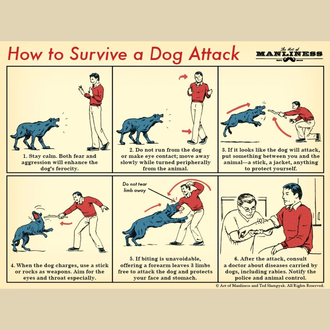 Helpful guide to survive a dog attack