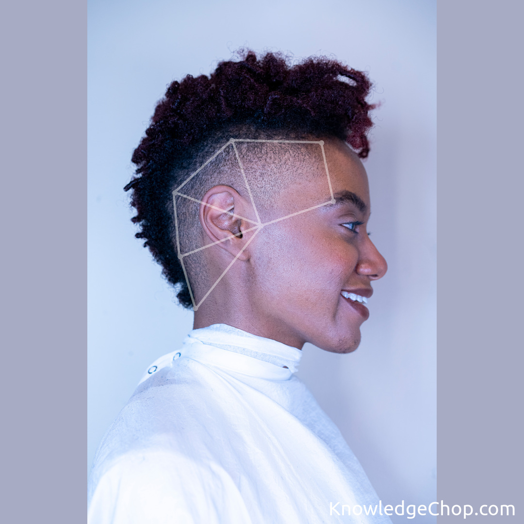 DIAGRAM FOR THE PERFECT MOHAWK HAIR CUT. | 🥷 Knowledge Ninja