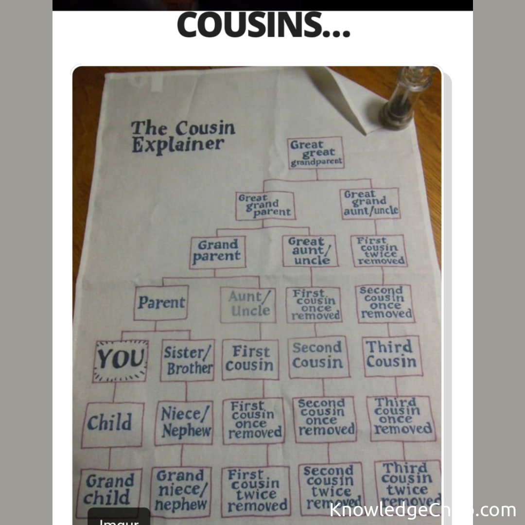 how being a cousin works | 🥷 Knowledge Ninja