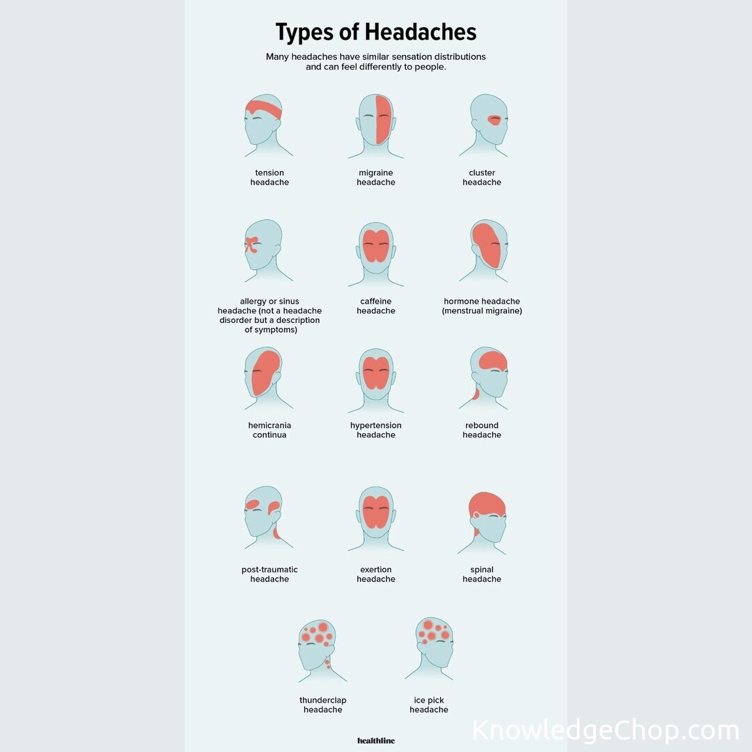 Types of Headache & Migraines | 🥷 Knowledge Ninja