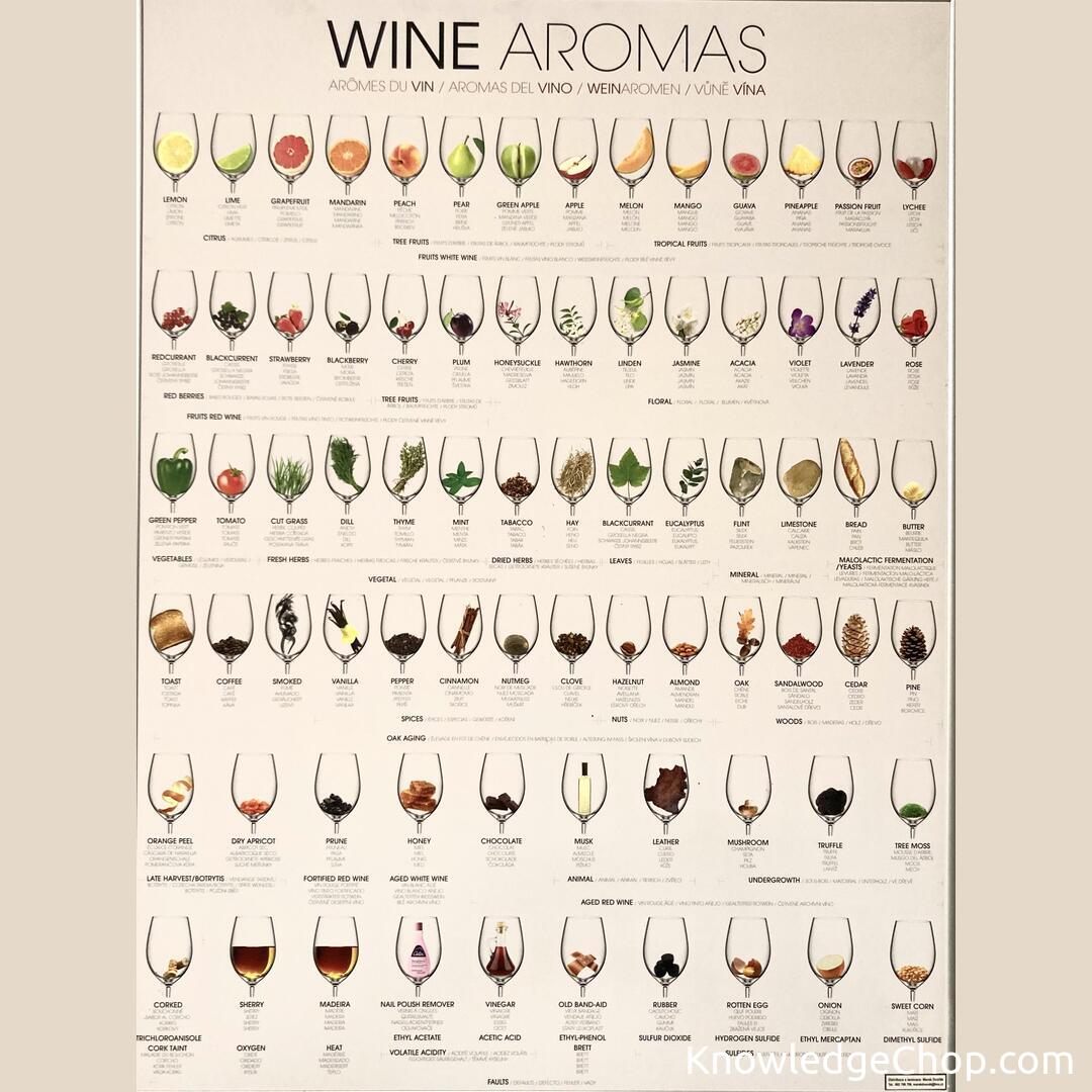 The language of wine, part two: taste | 🥷 Knowledge Ninja