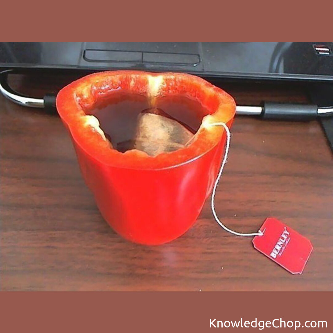 If You Just Moved Into A New Apartment And You Don t Have A Mug Yet 