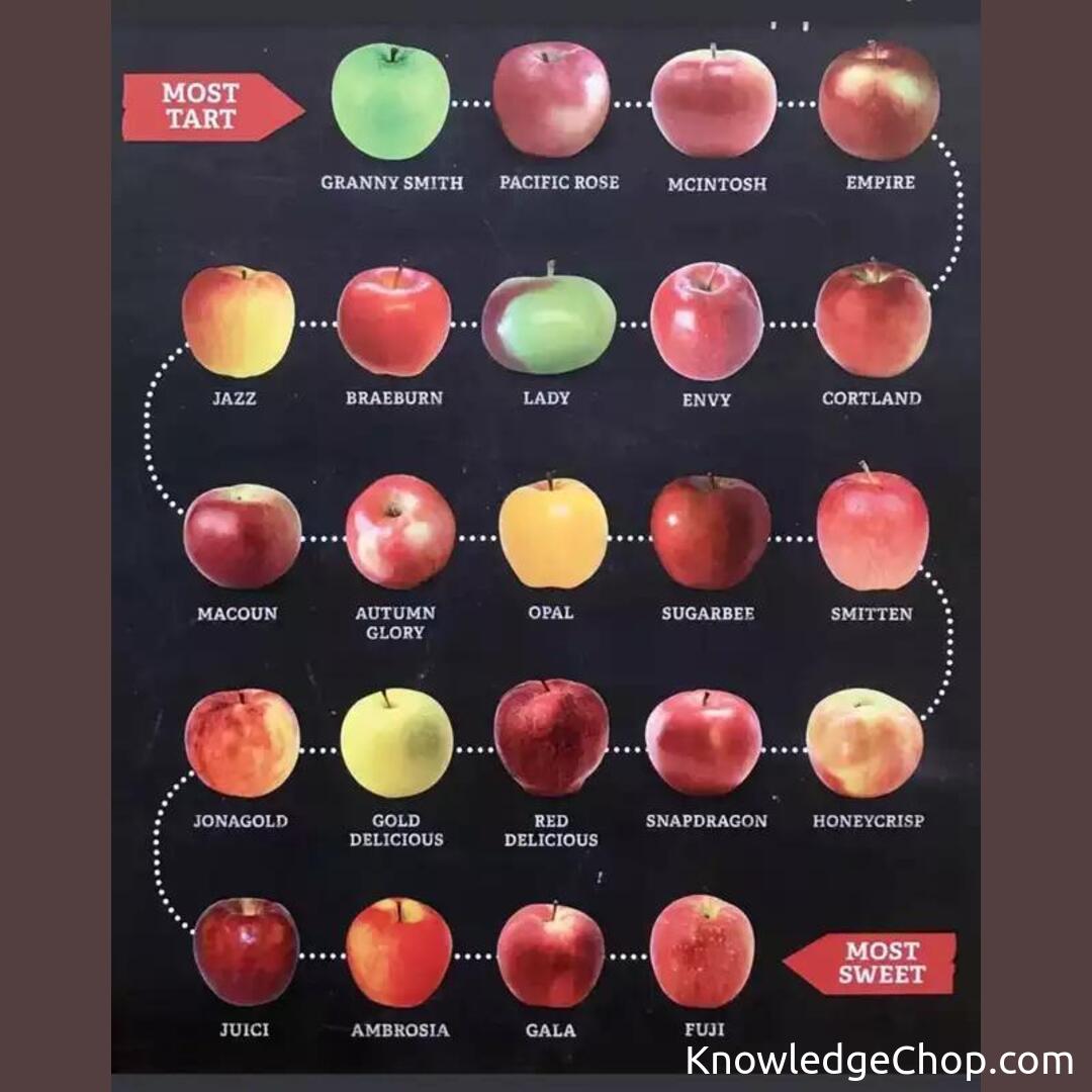 Apple guide | 🥷 Knowledge Ninja