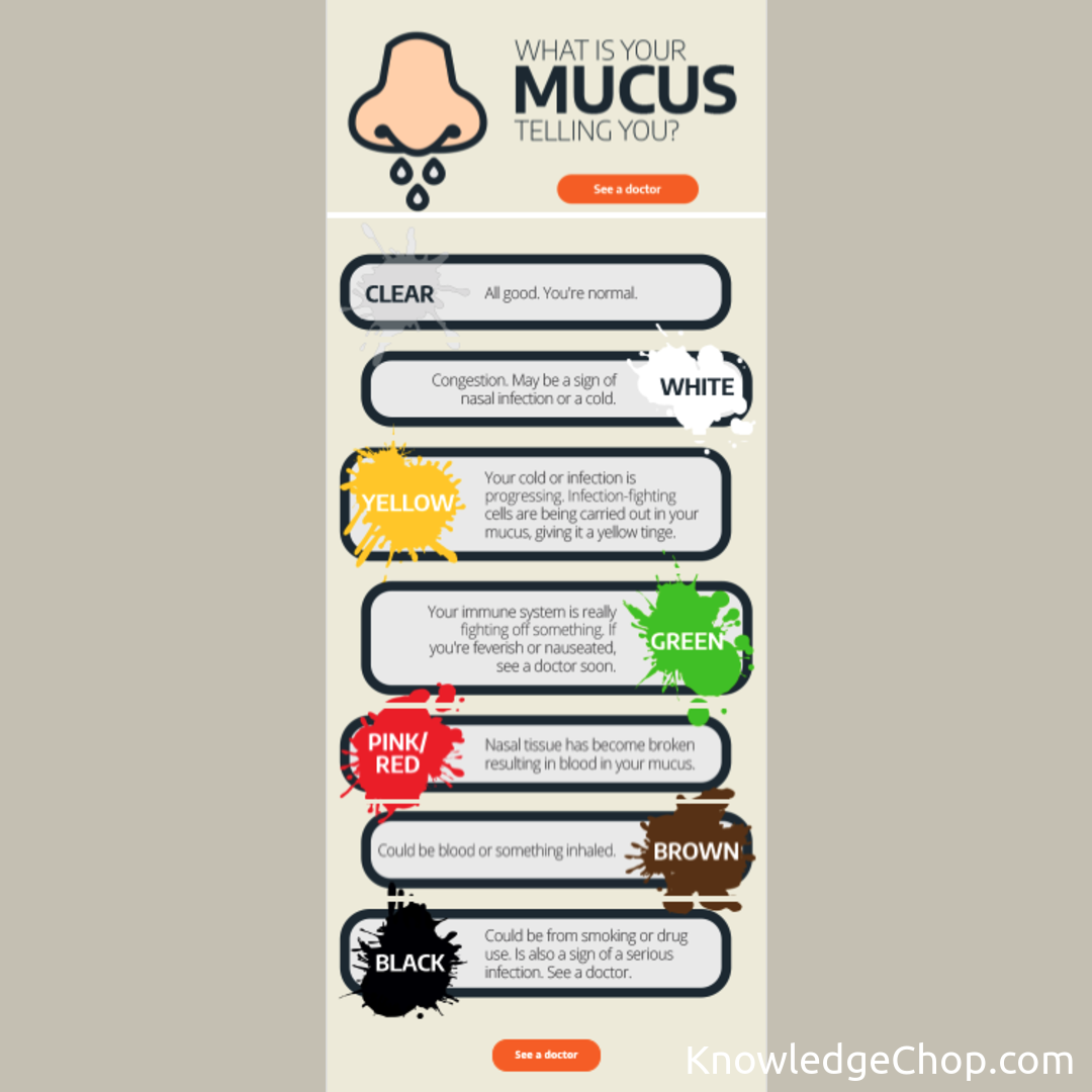 What is your mucus is telling you | 🥷 Knowledge Ninja