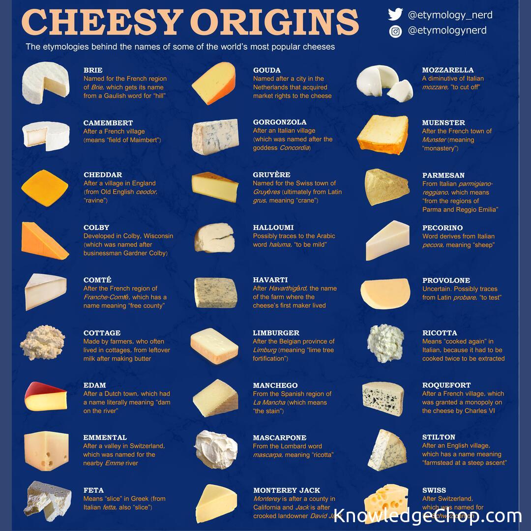 Cheese... | 🥷 Knowledge Ninja