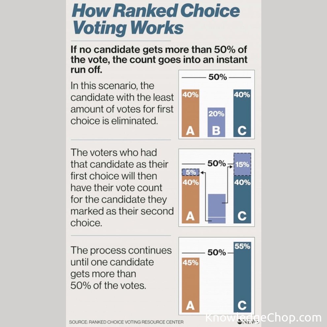 How Ranked Choice Voting Works | 🥷 Knowledge Ninja